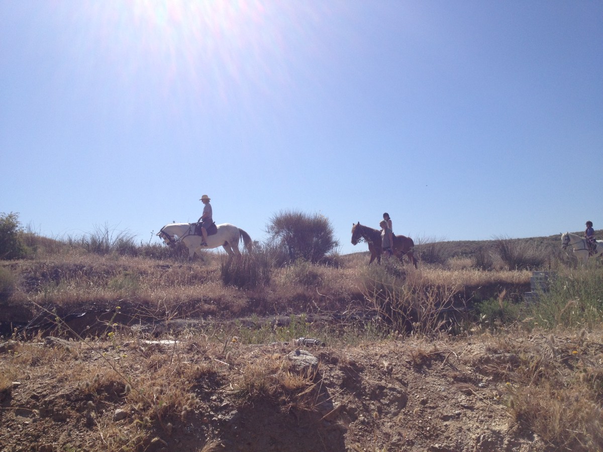 Things to do – The Lecrin Valley