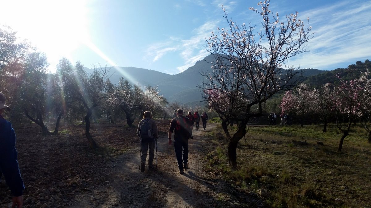 Winter walks in the Lecrin Valley – The Lecrin Valley