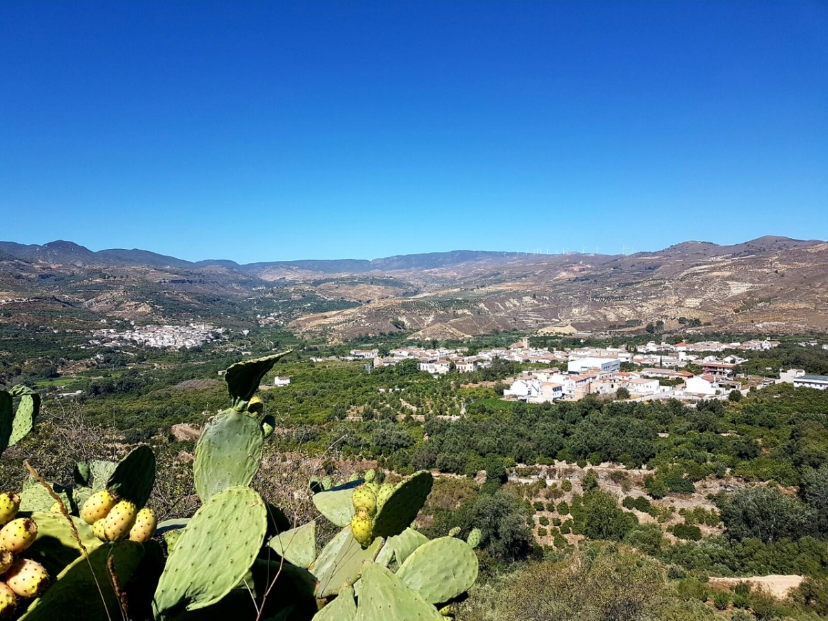 Make the most of the Lecrin Valley’s extended summer! – The Lecrin Valley