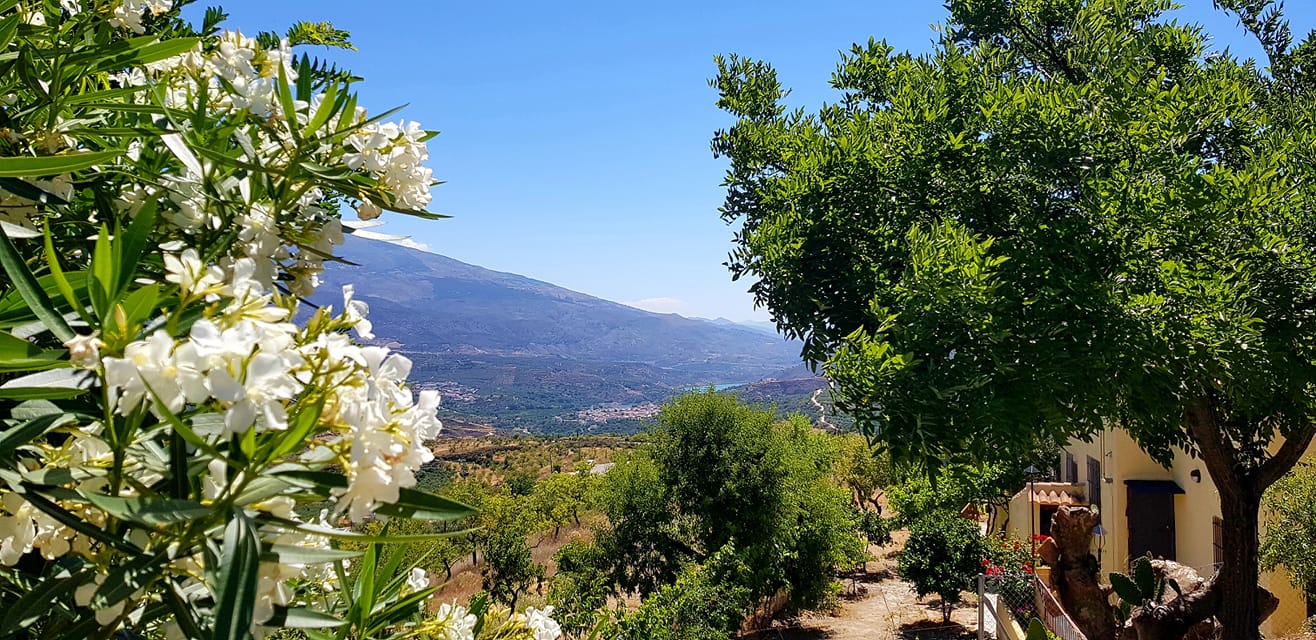 Lecrin Photos – The Lecrin Valley